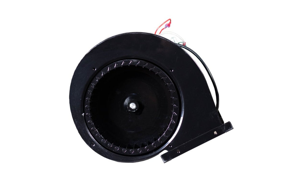 Matte Paint 101: What You Need to Know About This Popular Finish ...